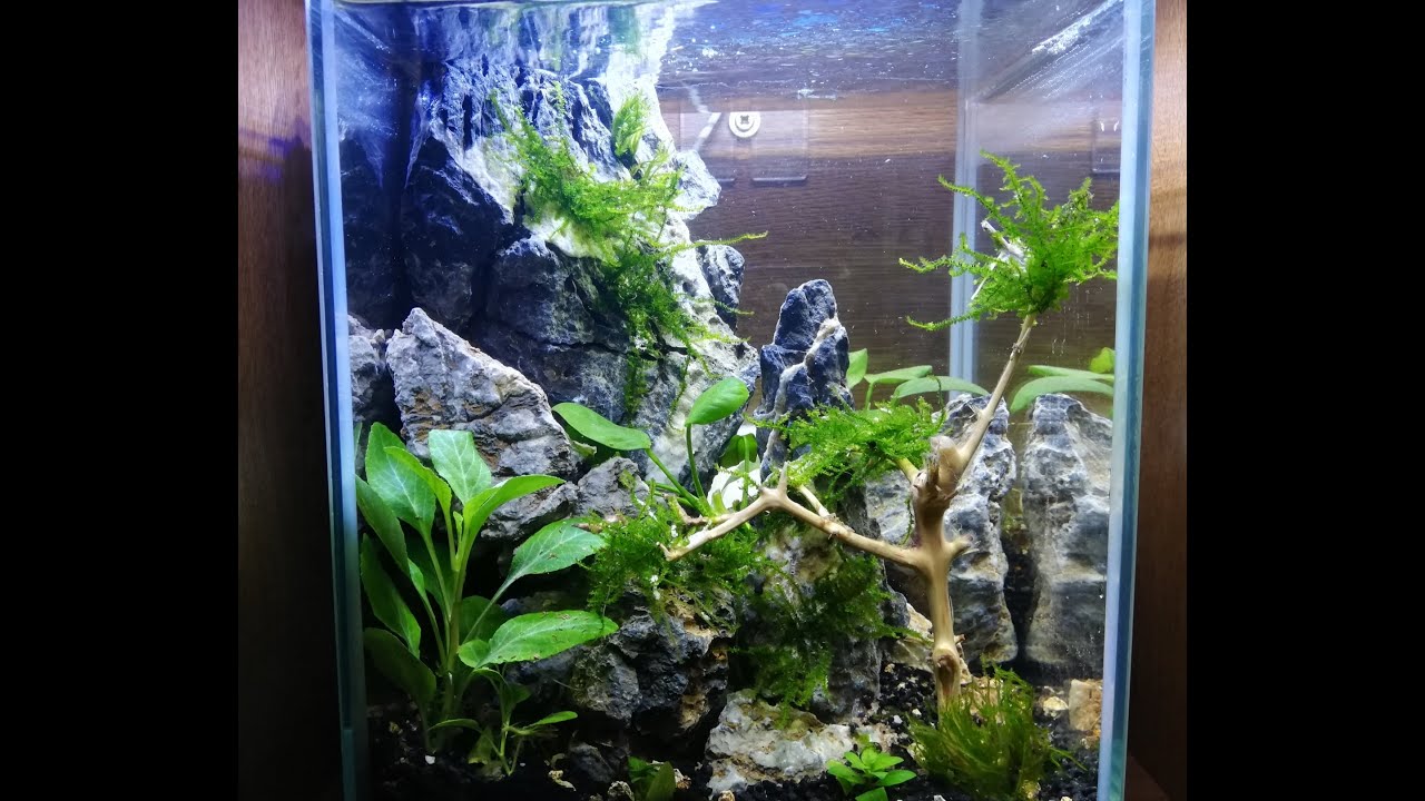 AQUASCAPE MOUNTAIN TIME-LAPSE STEP BY STEP - YouTube