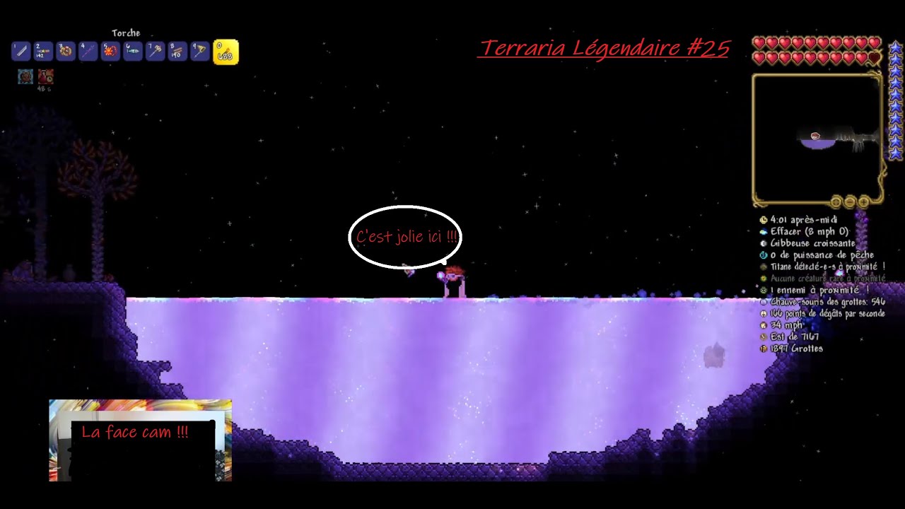 La face cam ?! [Terraria Légendaire #25] - YouTube