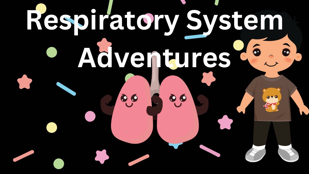 FUN FACTS ABOUT THE RESPIRATORY SYSTEM-Smart and Healthy Kids - YouTube
