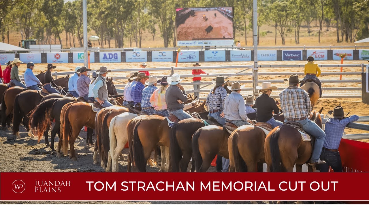Willinga at Juandah Plains Campraft 2024 | Tom Strachan Memorial Cut ...