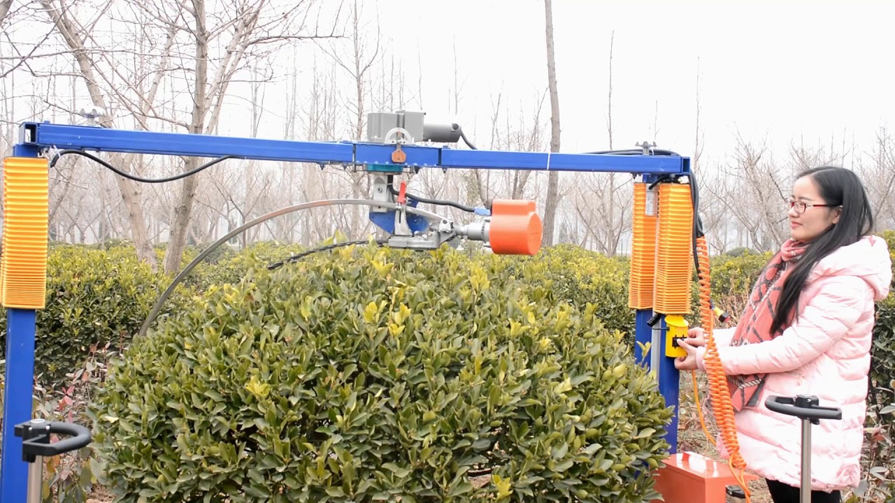 Automatic trimming machine for round shrubs - YouTube