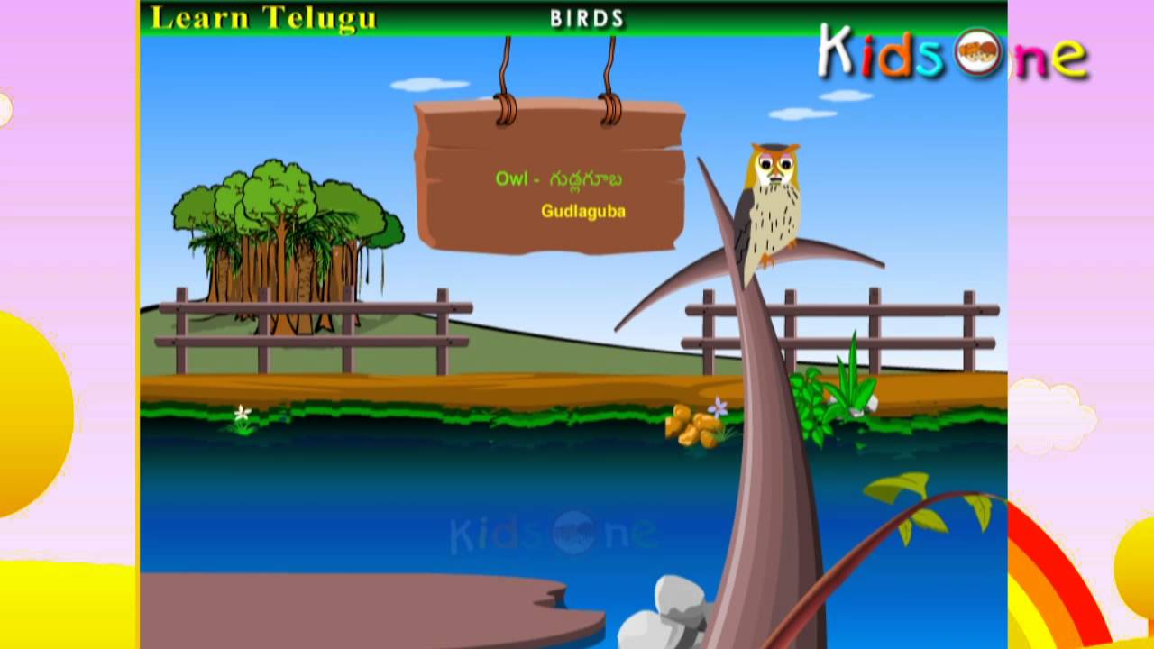 E-Learning || Learn Birds Names in Telugu through English - KidsOne ...