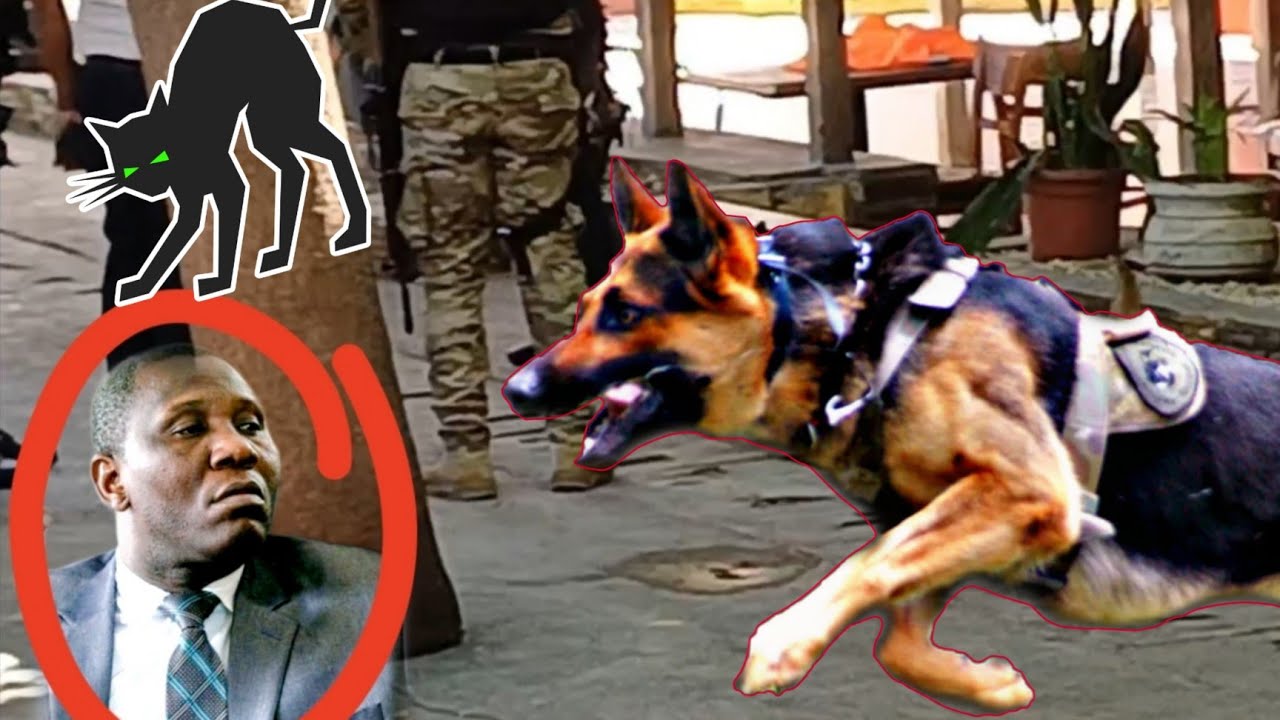 FLASH : VIDEO Jeantel Joseph Disparèt Kon Lafimen Lapolis Lagé Gro Chen ...