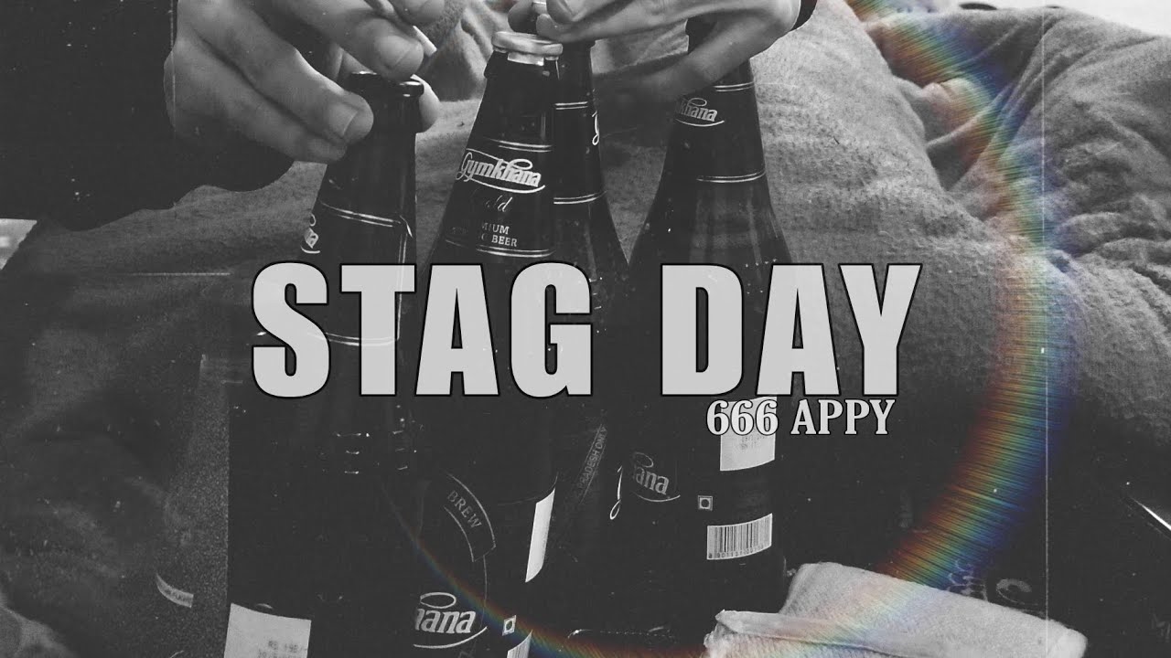 666 APPY - STAG DAY (OFFICIAL AUDIO ) | 2K24 | HAPPY STAG DAY 💎 - YouTube