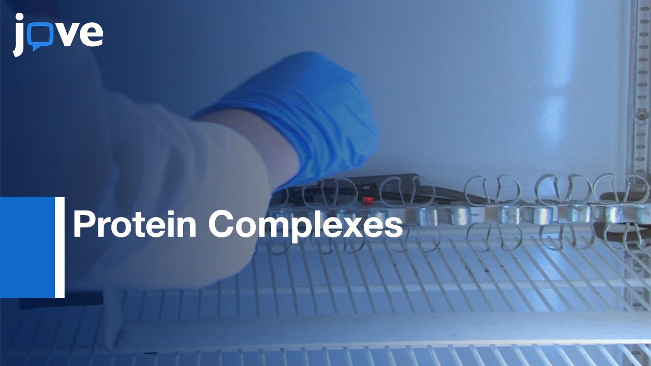 Tandem Affinity Purification of Protein Complexes of Eukaryotic Cells ...