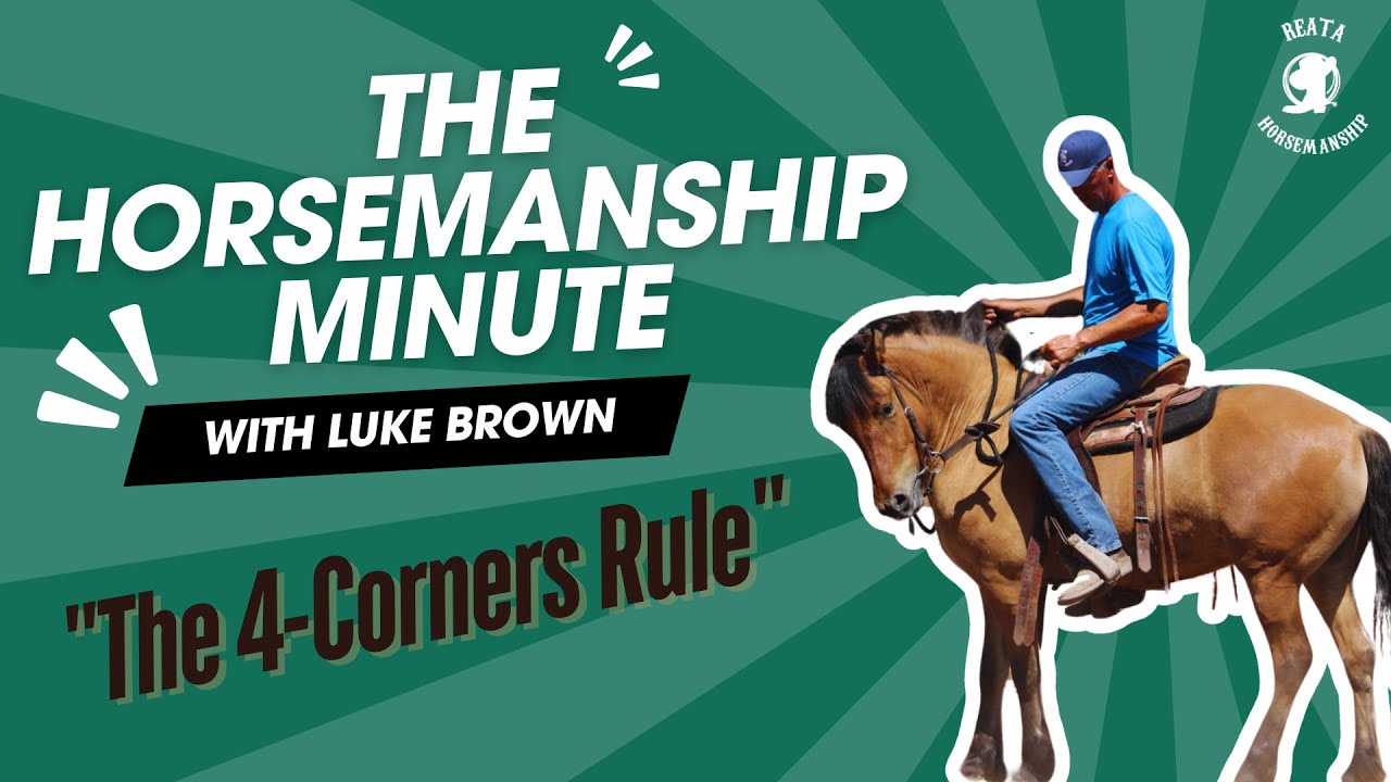 The Horsemanship Minute - The 4-Corners Rule 😍⛶ - YouTube