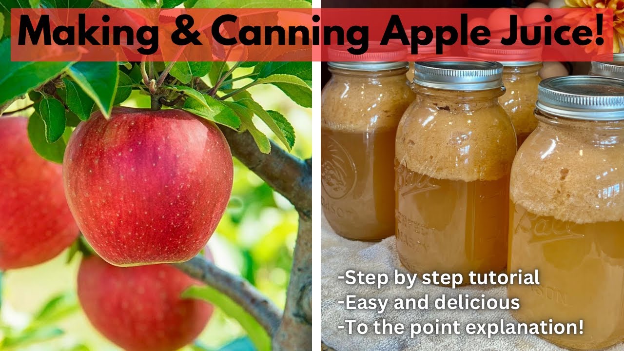 How to make & can APPLE JUICE | Step-by-step tutorial | Delicious apple ...
