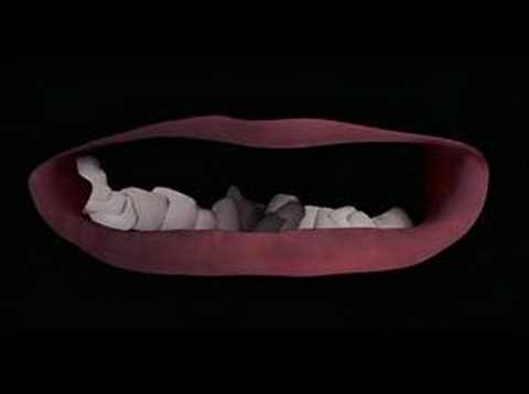 Monty Python - Comunismo internazionale [ITA] - YouTube