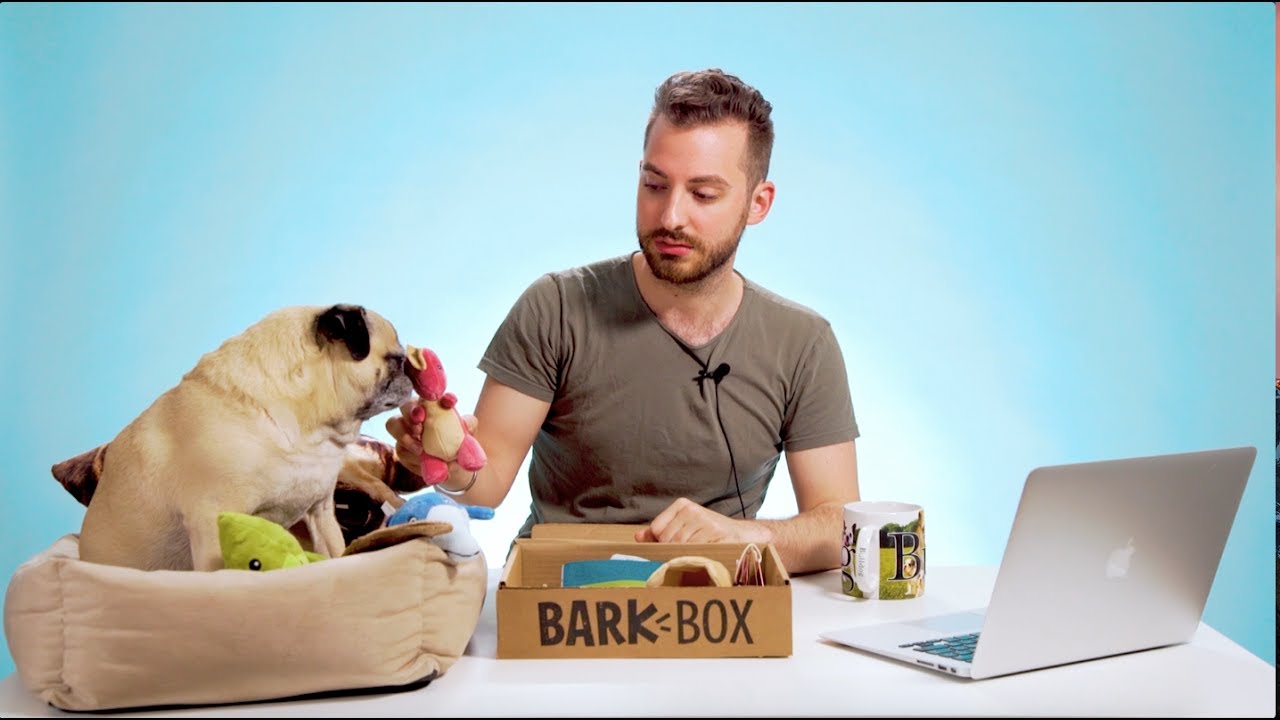 Unboxing the Chewrassic Bark BarkBox with Jonathan & Noodle! | June 2017 - YouTube