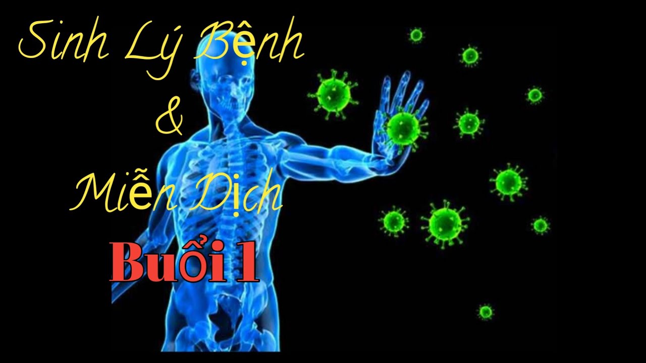 BÀI GIẢNG SINH LÝ BỆNH - MIỄN DỊCH #BUỔI1 - YouTube