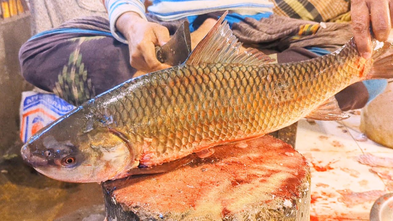 Amazing Giant Rohu Fish Cutting Live in Fish Market #shortvideo - YouTube