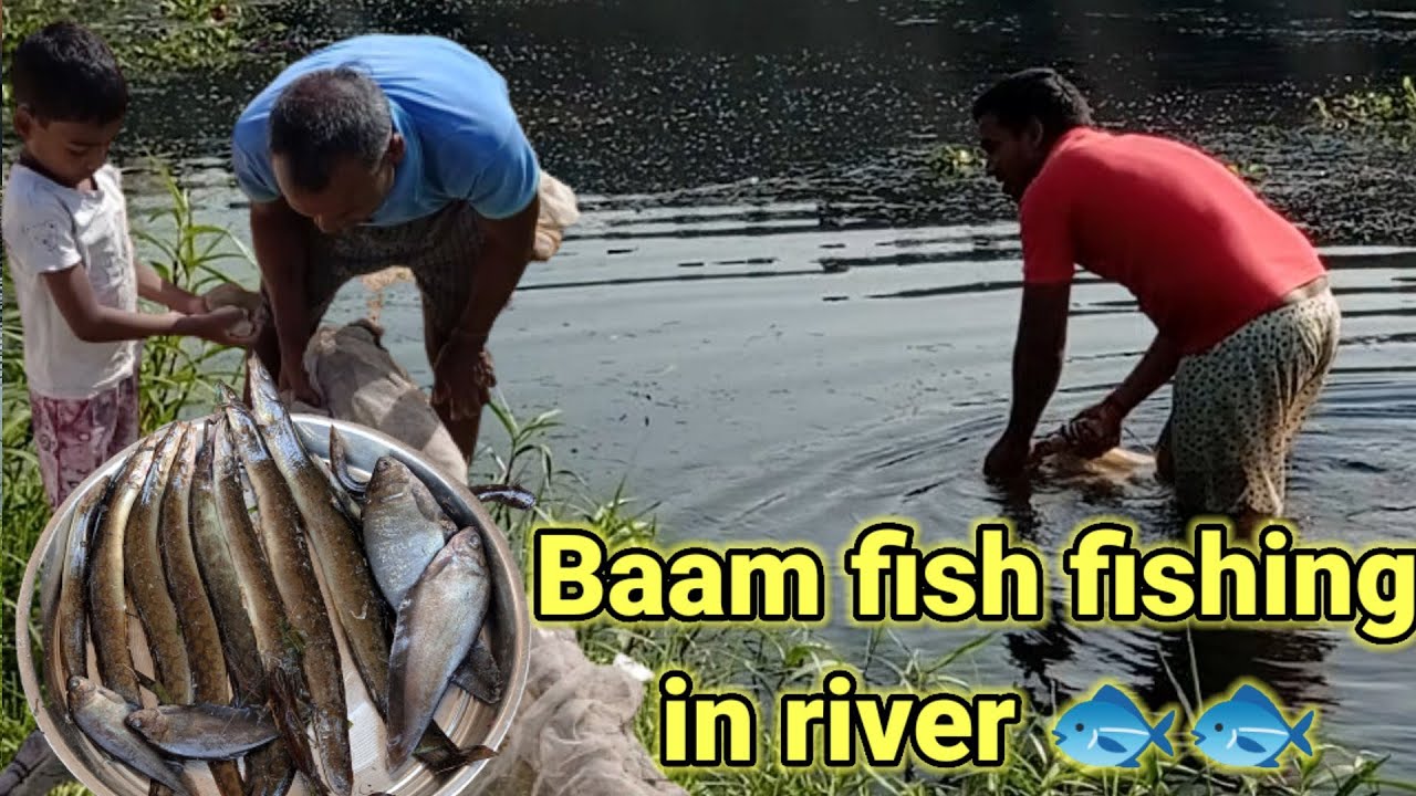 FISHING BAAM FISH AND COOKING AND EATING || fishing baam fish in river ...