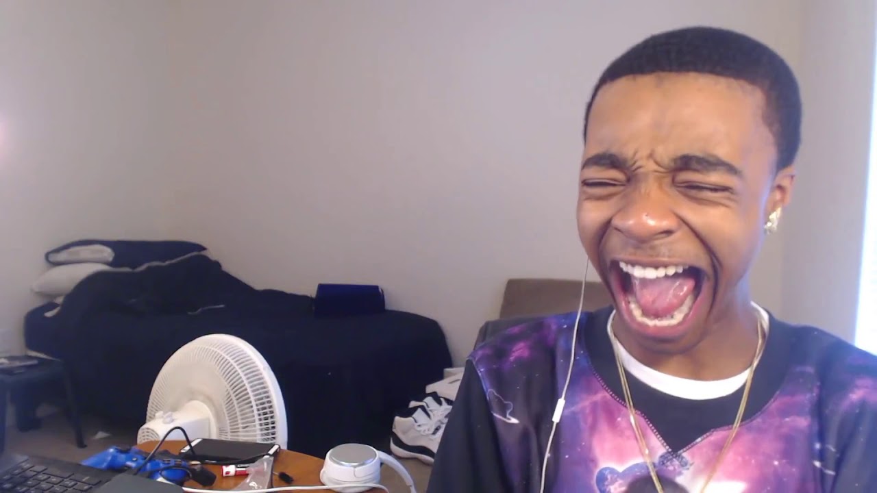 FlightReacts Dolphin Laugh - YouTube