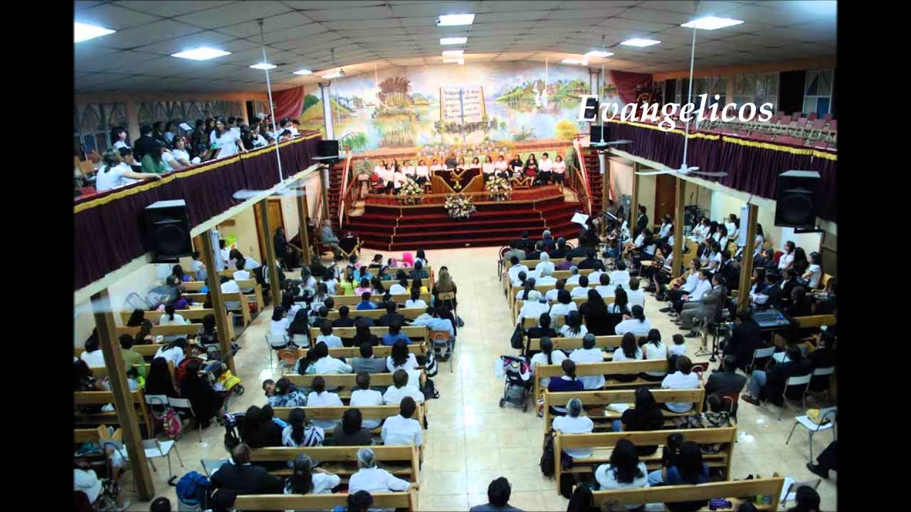 PROYECTO FELIPE - YouTube