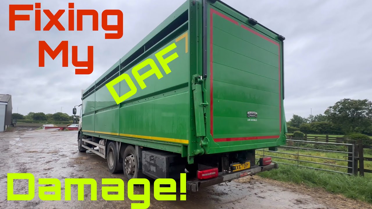 Damage DAF Fixed… Yes I Broke it! Wet Day Cattle Farming! - YouTube