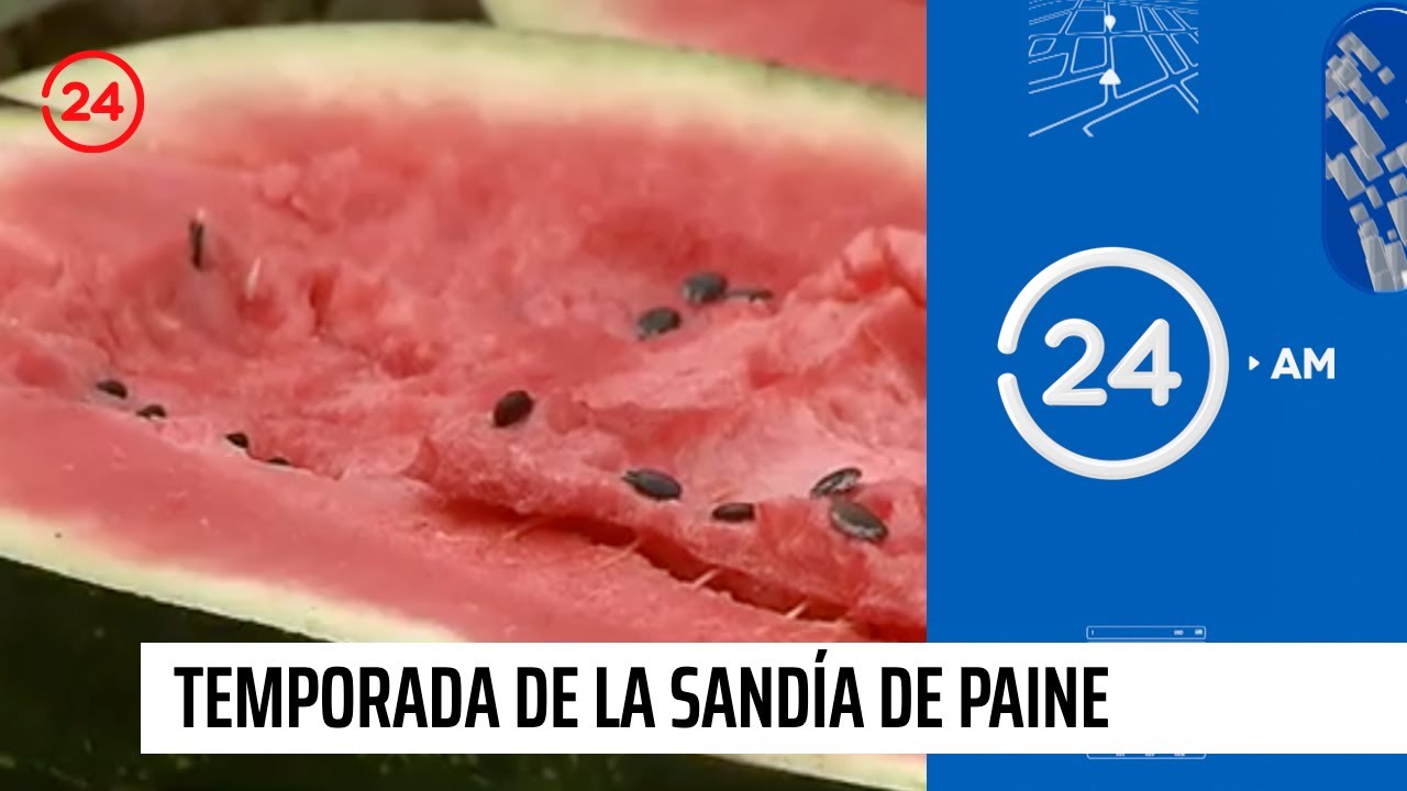 Comenzó la temporada de la sandía de Paine | 24 Horas TVN Chile - YouTube