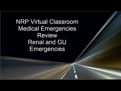 EMS 245 Final Review- Renal and Genitourinary Emergencies - YouTube