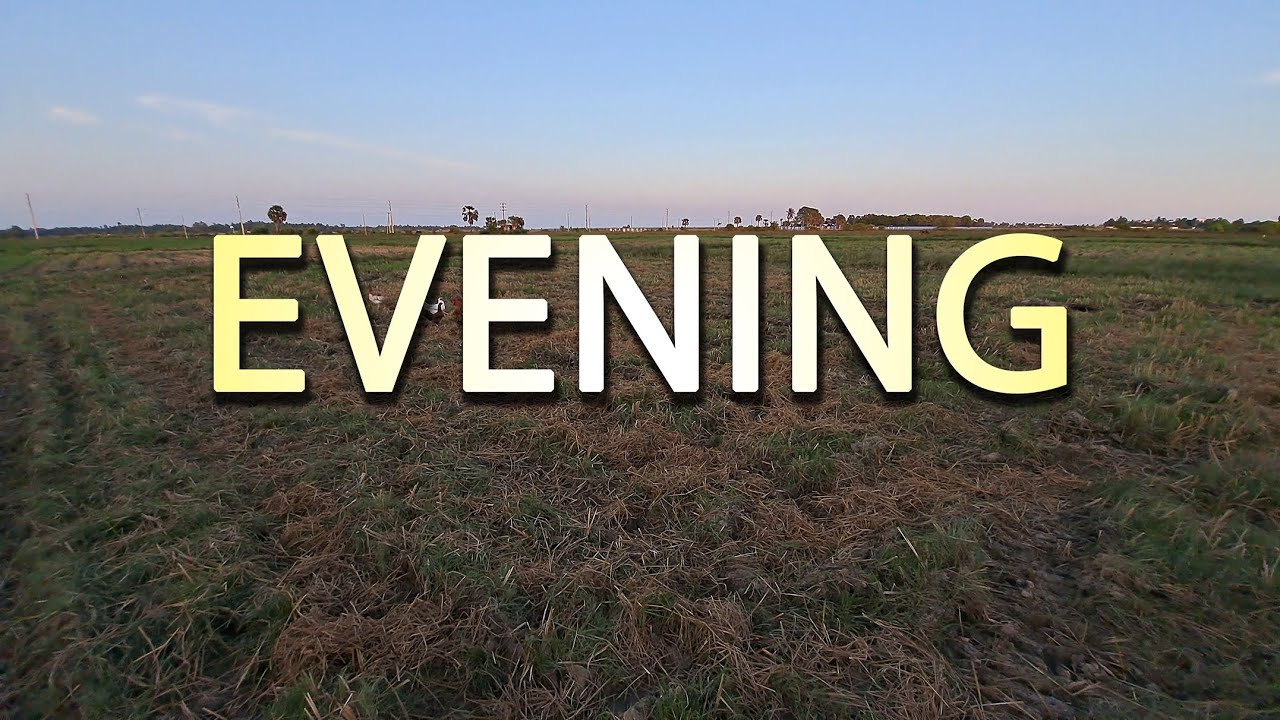Evening - YouTube