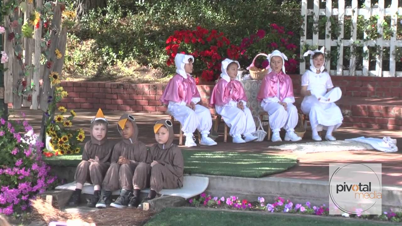 School Play "Peter Rabbit" - YouTube