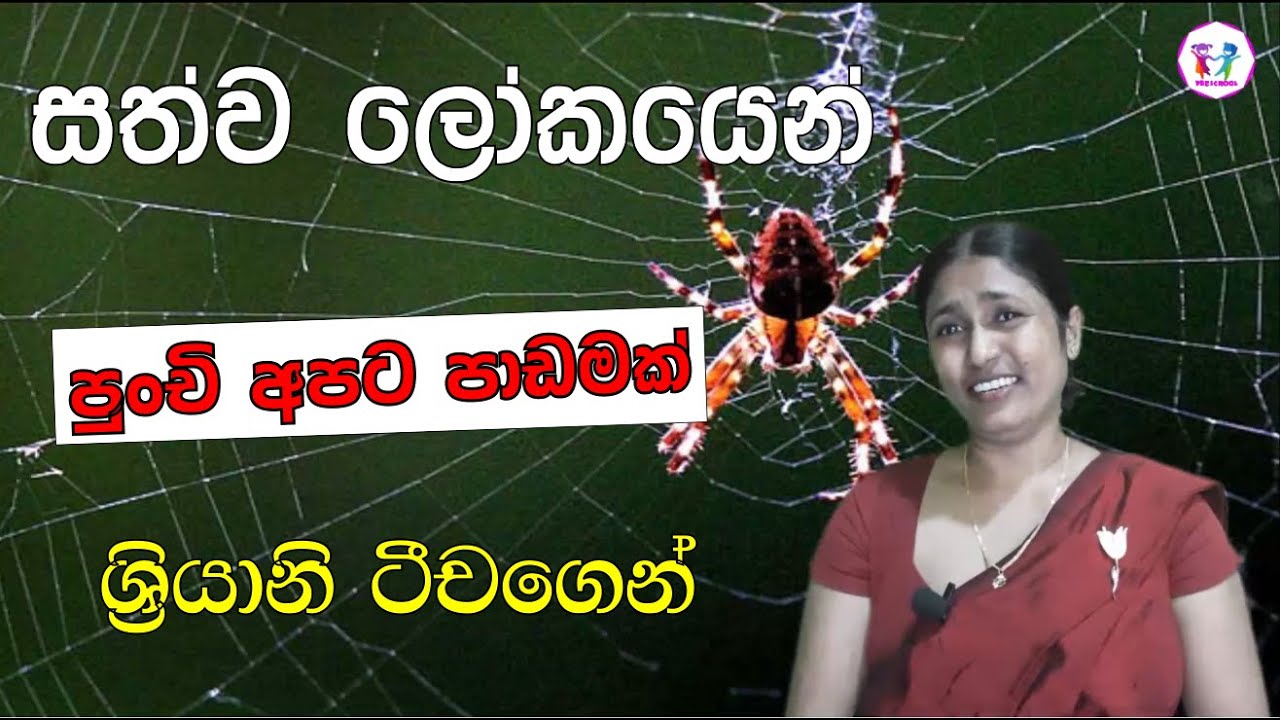 pera pasal padam | සත්තුන්ගෙන් අපට ගත හැකි පාඩම් | පෙරපාසල් පාඩම් ...