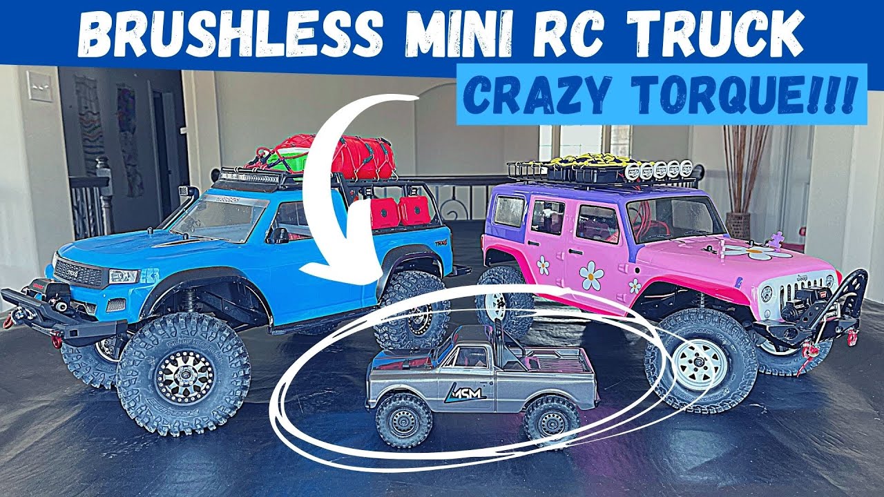 Mini RC Rock Crawler Scaler RC Truck Brushless | Axial SCX24 Furitek ...