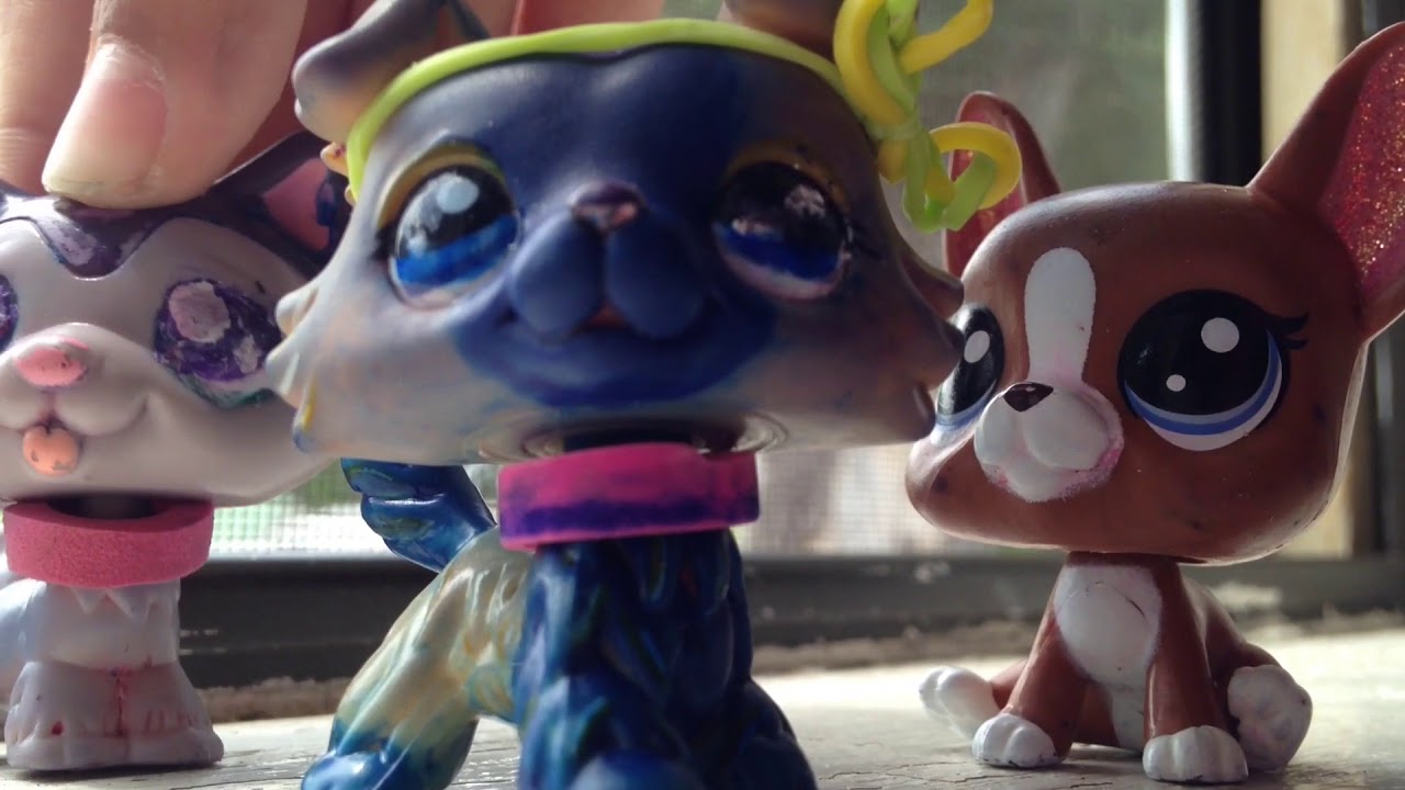 Funny skit Lps - YouTube