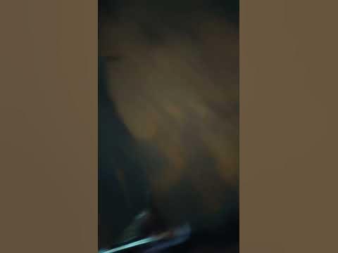 мне лень я пельмень - YouTube