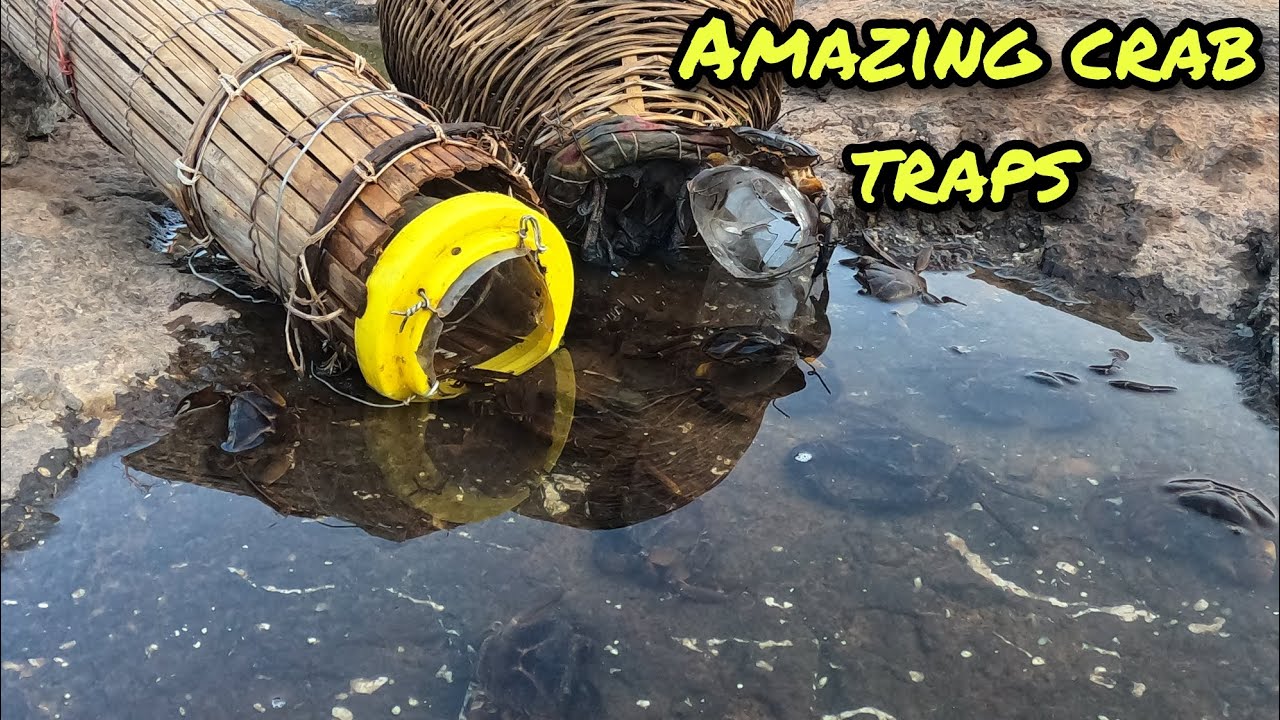 खेकडे पकडायची गावाकडची सोप्पी पध्दत. Easy Crab catching technique ...