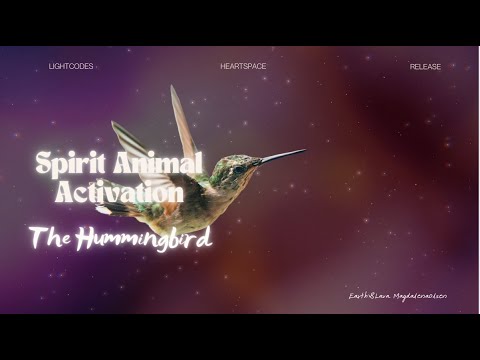 Hummingbird Medicine I Activate the Frequency of Joy - YouTube