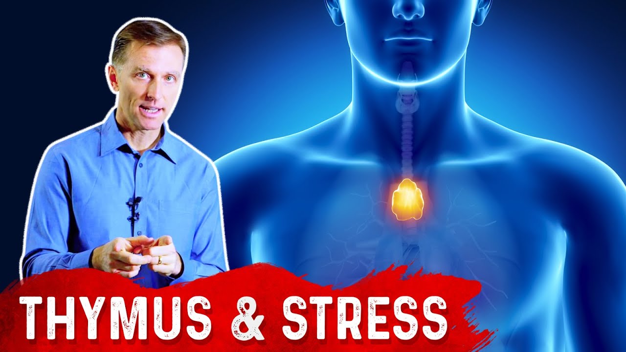 Thymus Function