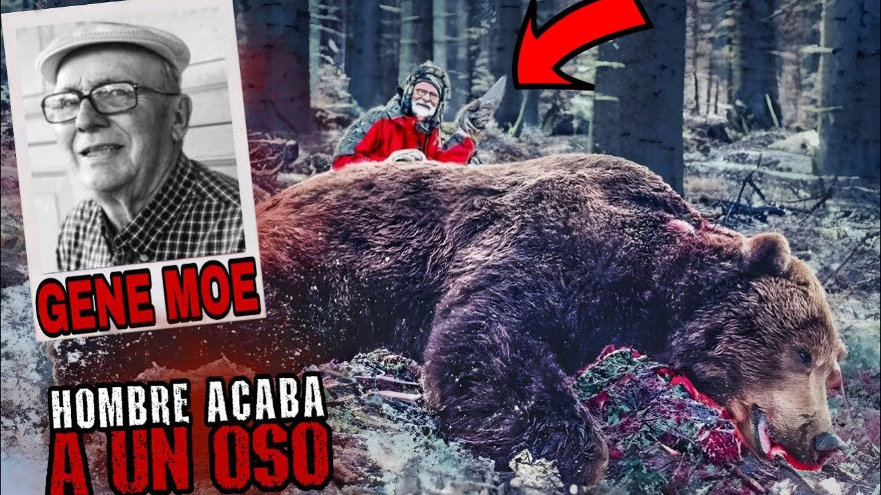El ATAQUE DE OSO más TERRORÍFICO de la historia de Alaska - YouTube