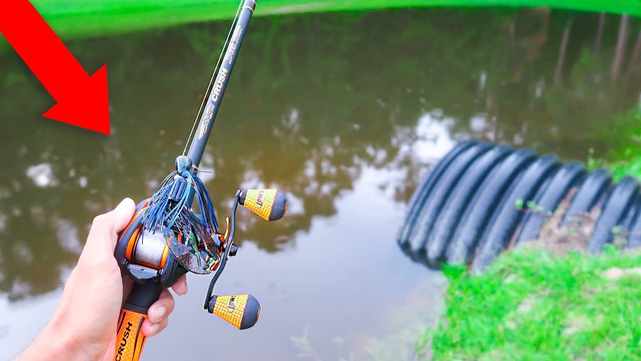 Catching ENORMOUS Bass on BIG JIGS (Bank Fishing) - YouTube