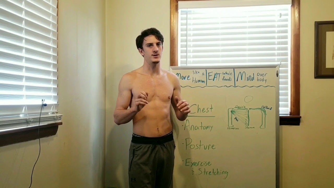 Chest Workout Basics - Anatomy, Posture, Exercise & Stretching - YouTube
