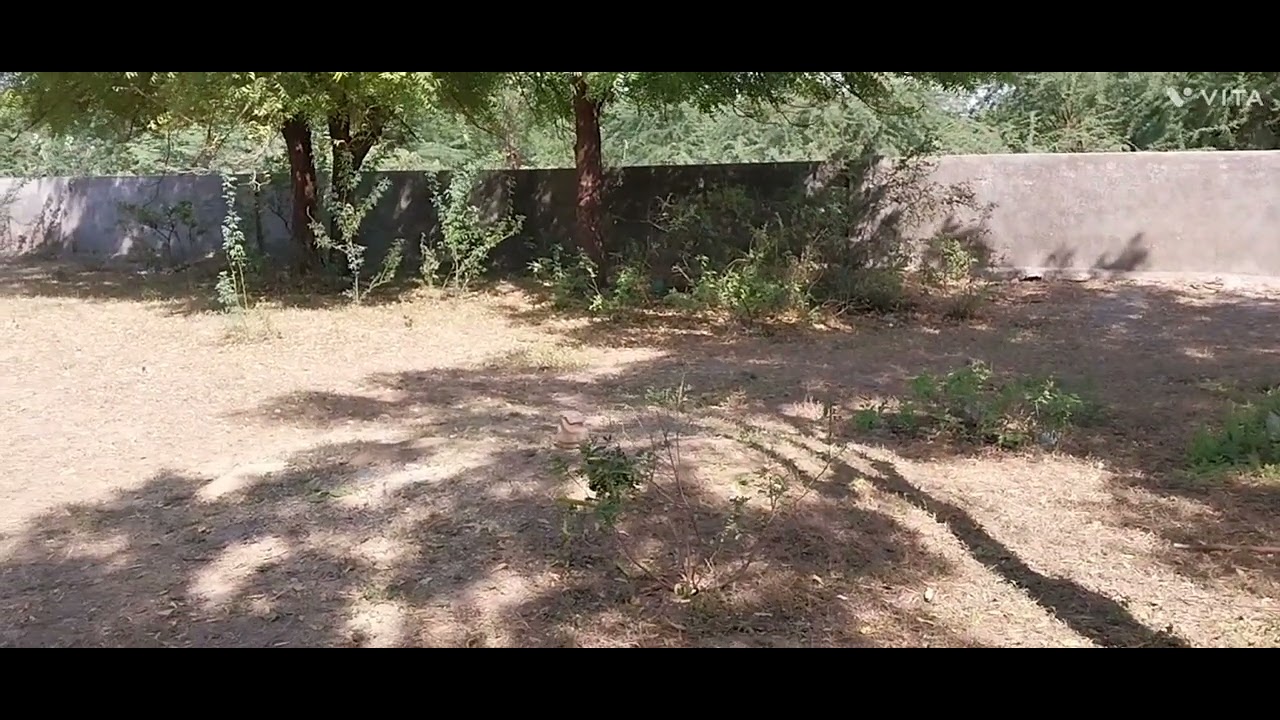 ફાયર કેસર op@Namaste_Kohei - YouTube