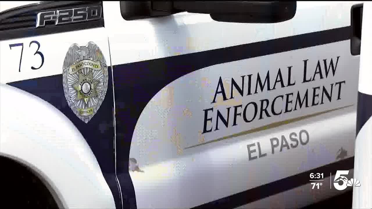 Animal Law Enforcement has news tools to combat animal cruelty in the ...