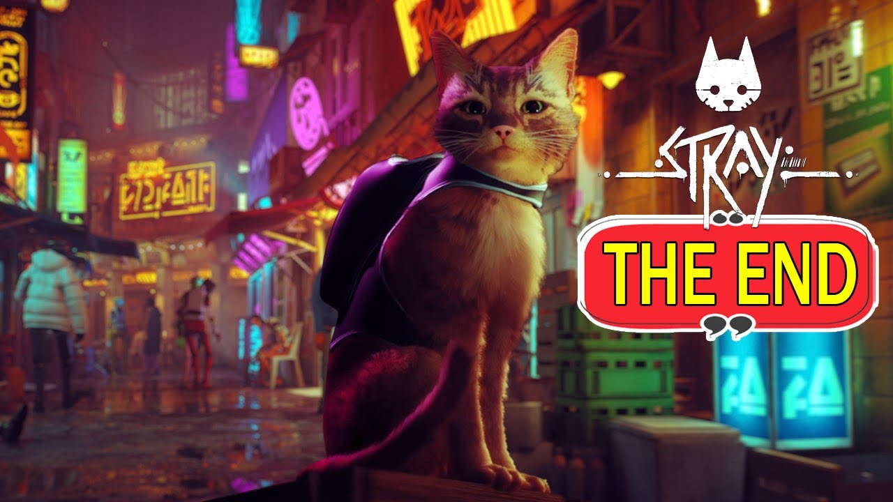 STRAY | EPISODE THE END (FULL GAMEPLAY) - YouTube