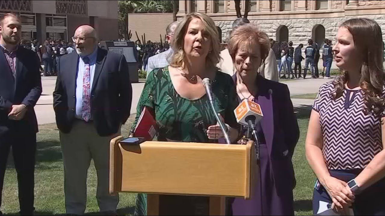 Arizona GOP chairwoman defends controversial email - YouTube