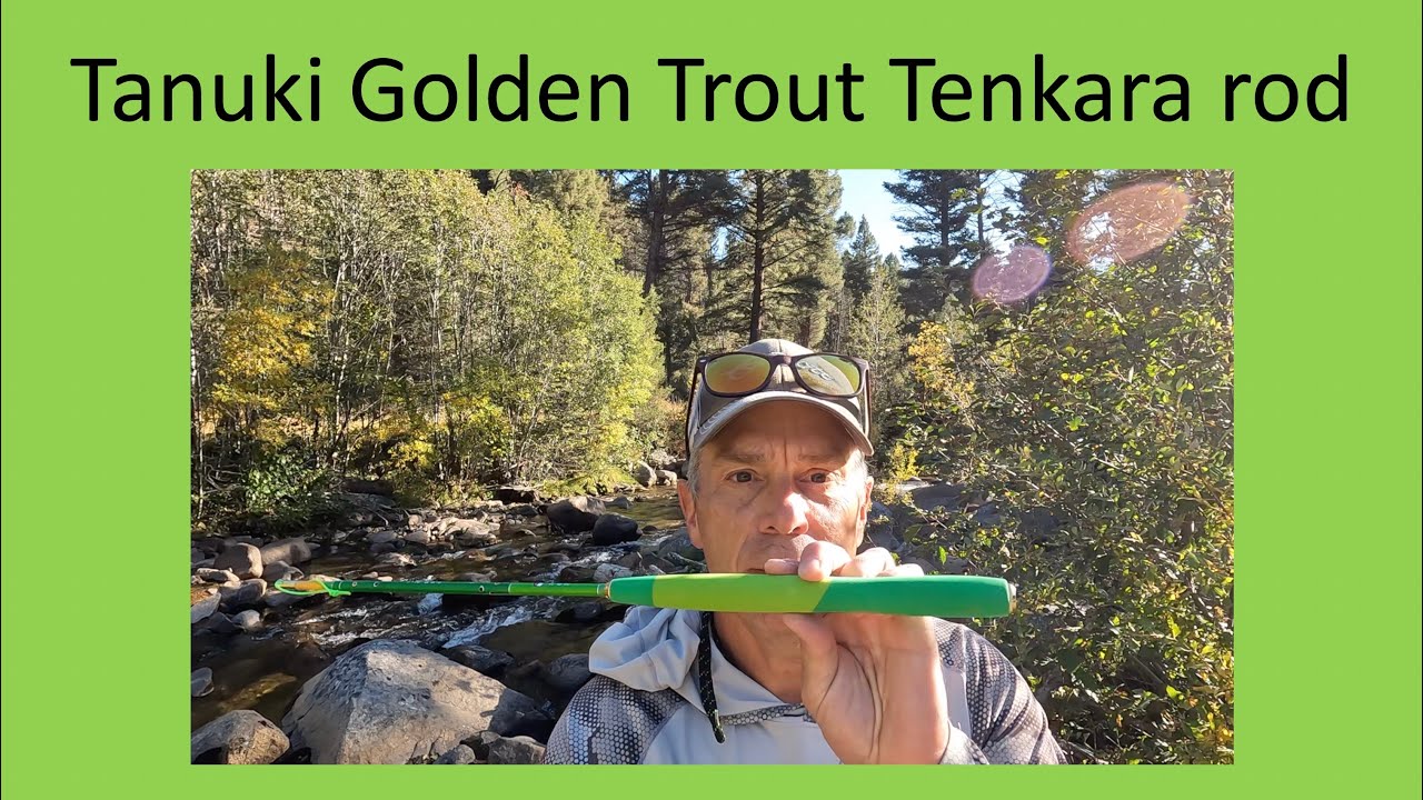 Tenkara Tanuki GOLDEN TROUT rod! - YouTube