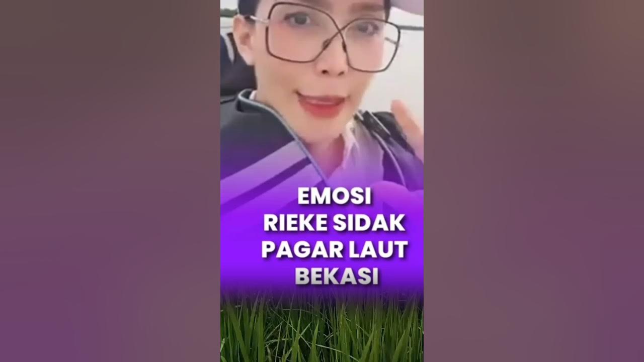 PAGAR LAUT BEKASI DISENTIL RIEKE DIAH PITALOKA #riekediahpitaloka #tolakpagarlautbekasi - YouTube