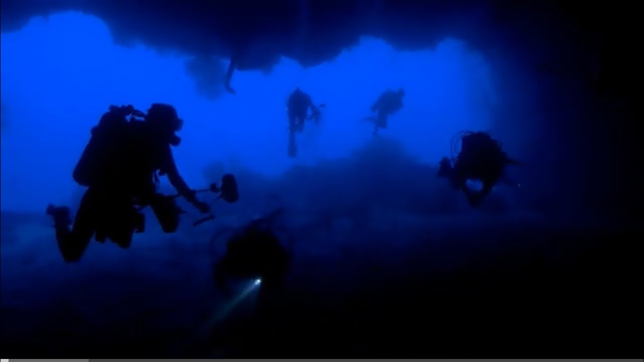 Real-Life Cryptids: Mysterious Creatures Captured on Video - YouTube