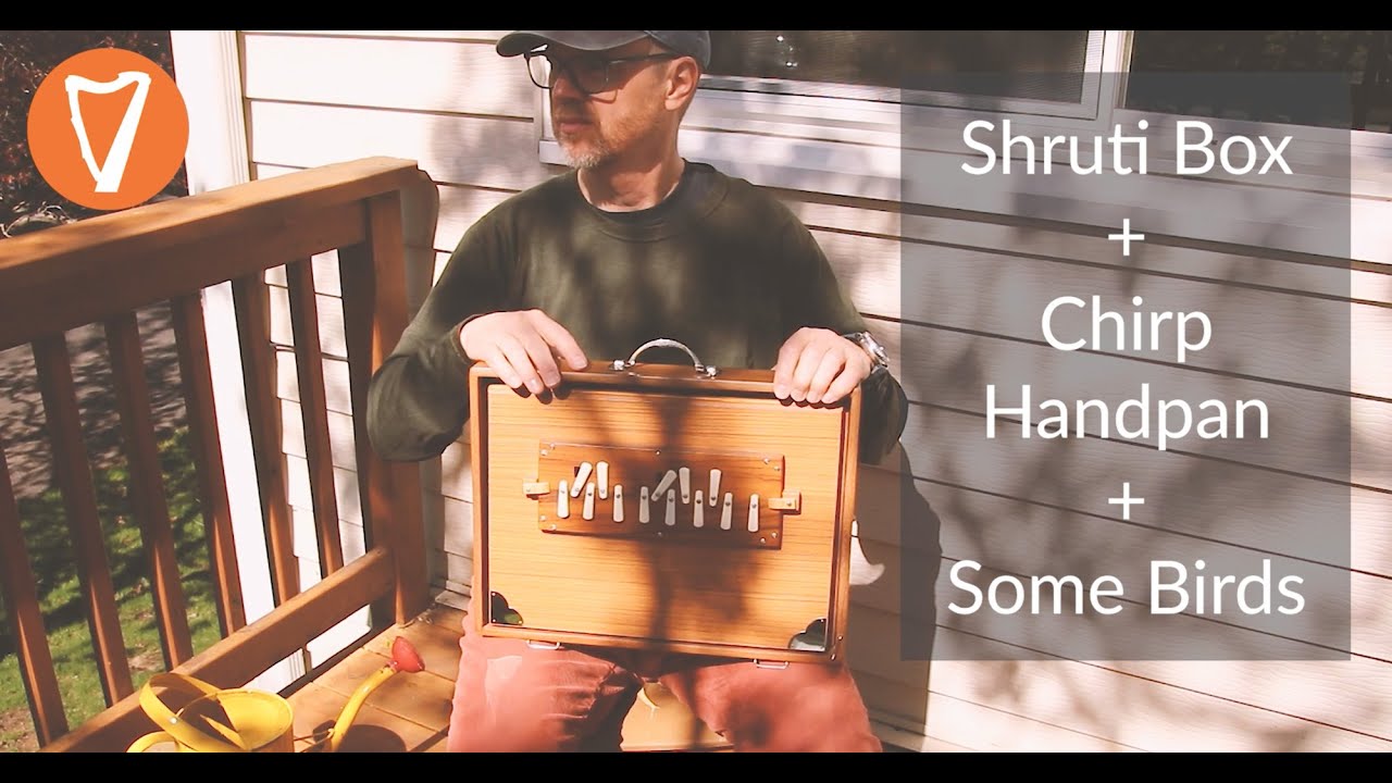 Chirp Handpan (F# Low Pygmy) and Shruti Box - YouTube