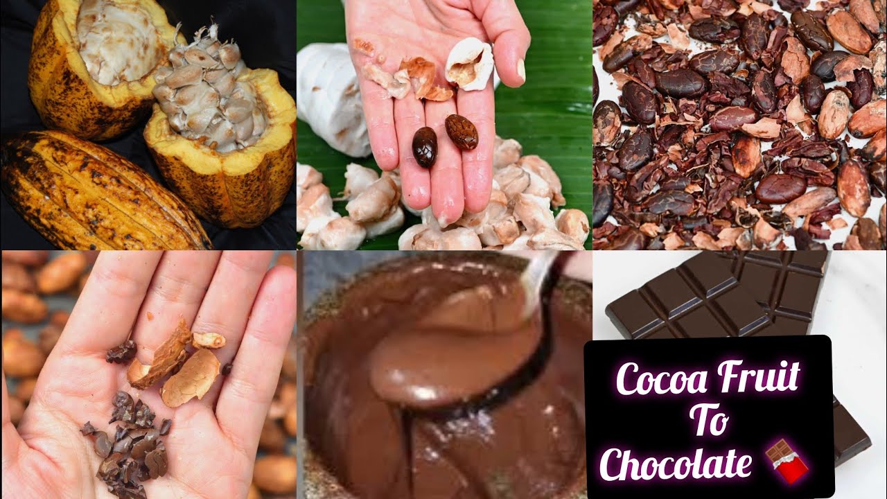 HAND MADE CHOCOLATE |From Cocoa Fruit - Silky Chocolate|first time ...