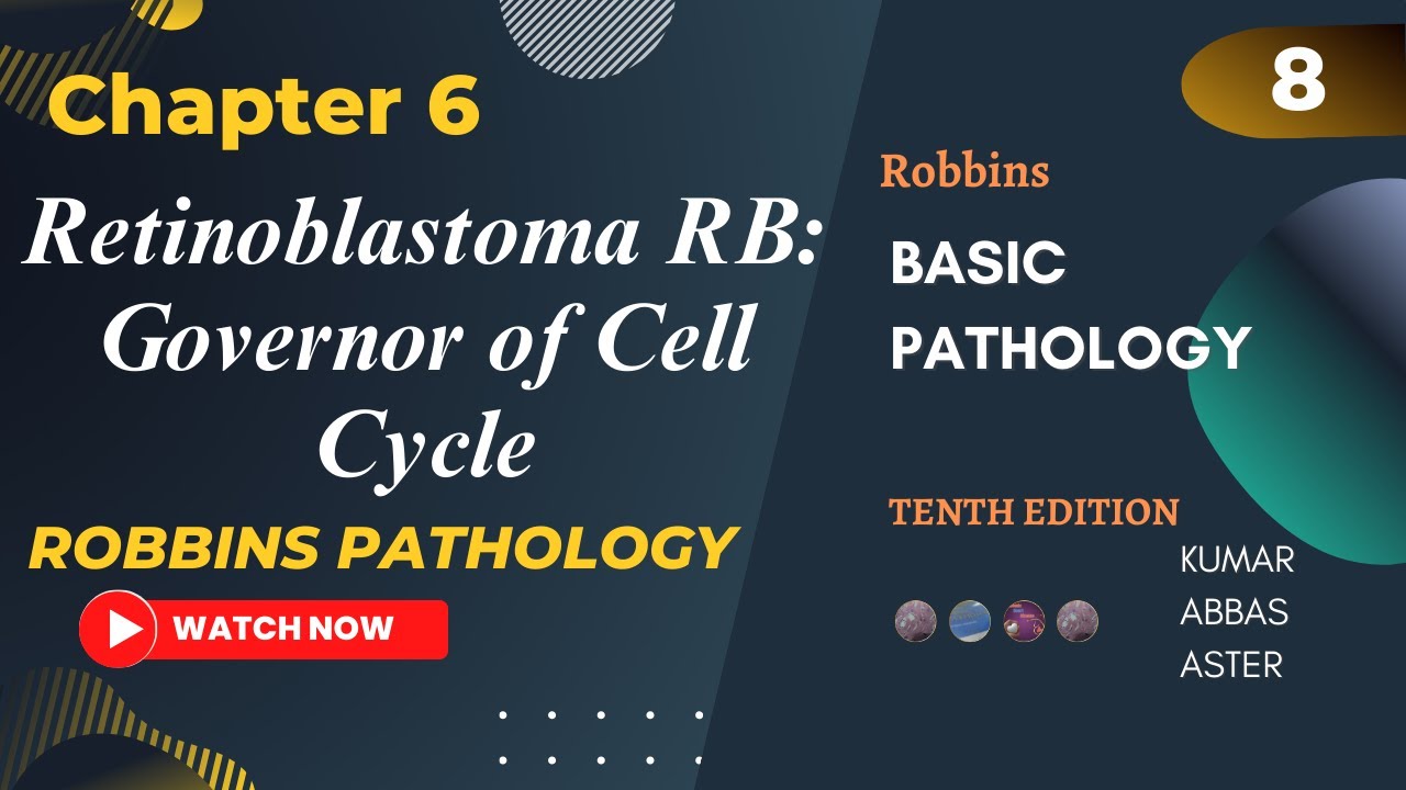 Retinoblastoma RB: Governor of Cell Cycle | RB Pathway Neoplasia ...
