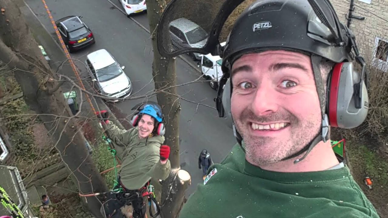 Cornmill Tree Surgery - YouTube