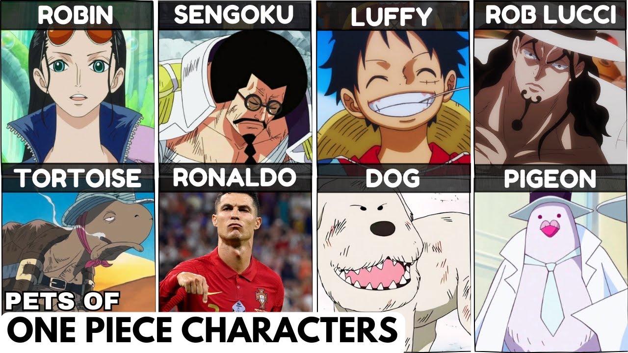 One Piece Characters and Their Pets | - YouTube