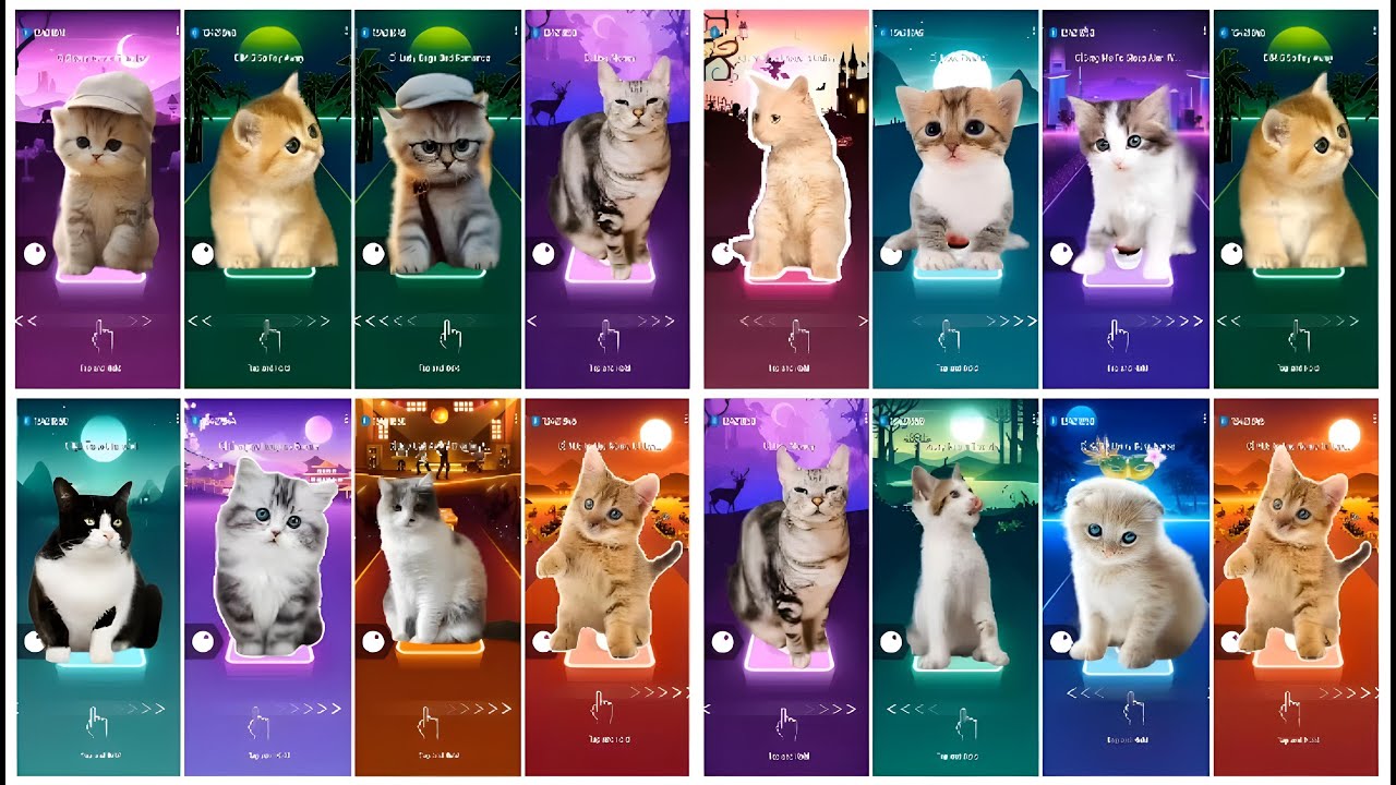 TILES HOP COMBO CUTE KITTY CATS BONGO BATTLE - YouTube