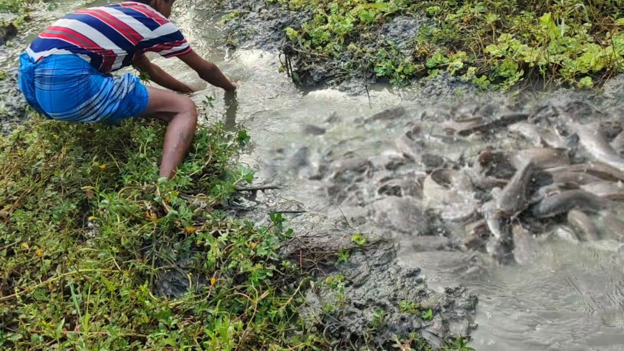 The Boy Catches Fish | Unbelievable Fish Catching Video Part 01 - YouTube