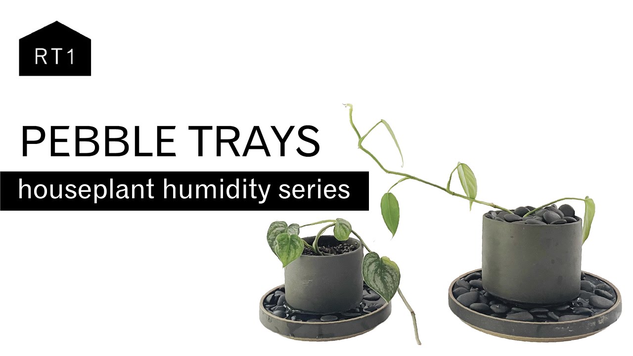 PEBBLE TRAYS: AN ATTRACTIVE METHOD TO INCREASE HUMIDITY - YouTube