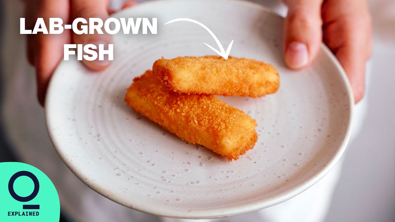 Is Cell-Based Fish the Future of Seafood? - YouTube