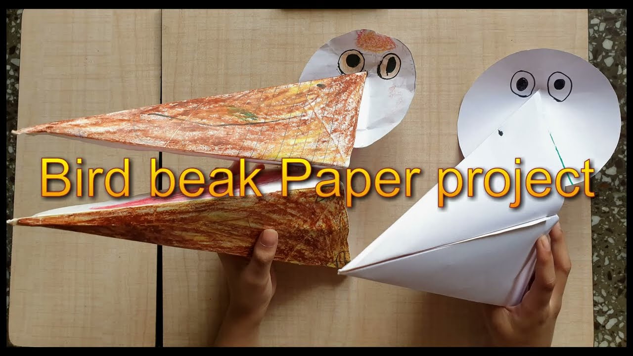 Origami How To Make Bird Beak Paper Art YouTube Origami How To Make Bird Beak Paper Art YouTube